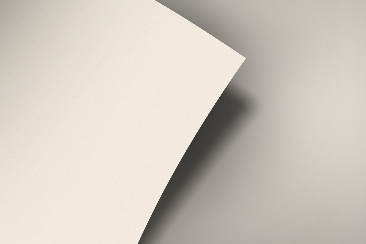 Sheep | Ral 9010 | Mat witte folie | S208 BODAQ